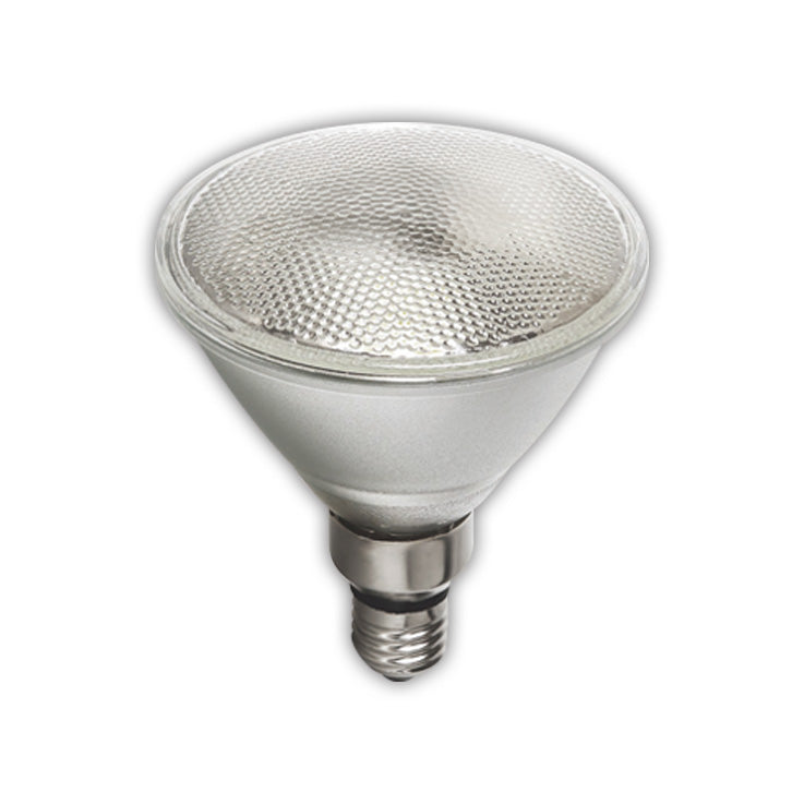 PAR38 Full Glass LED Lamp – Just Lights & Home Decor